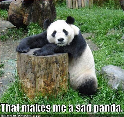 Sad Panda Meme