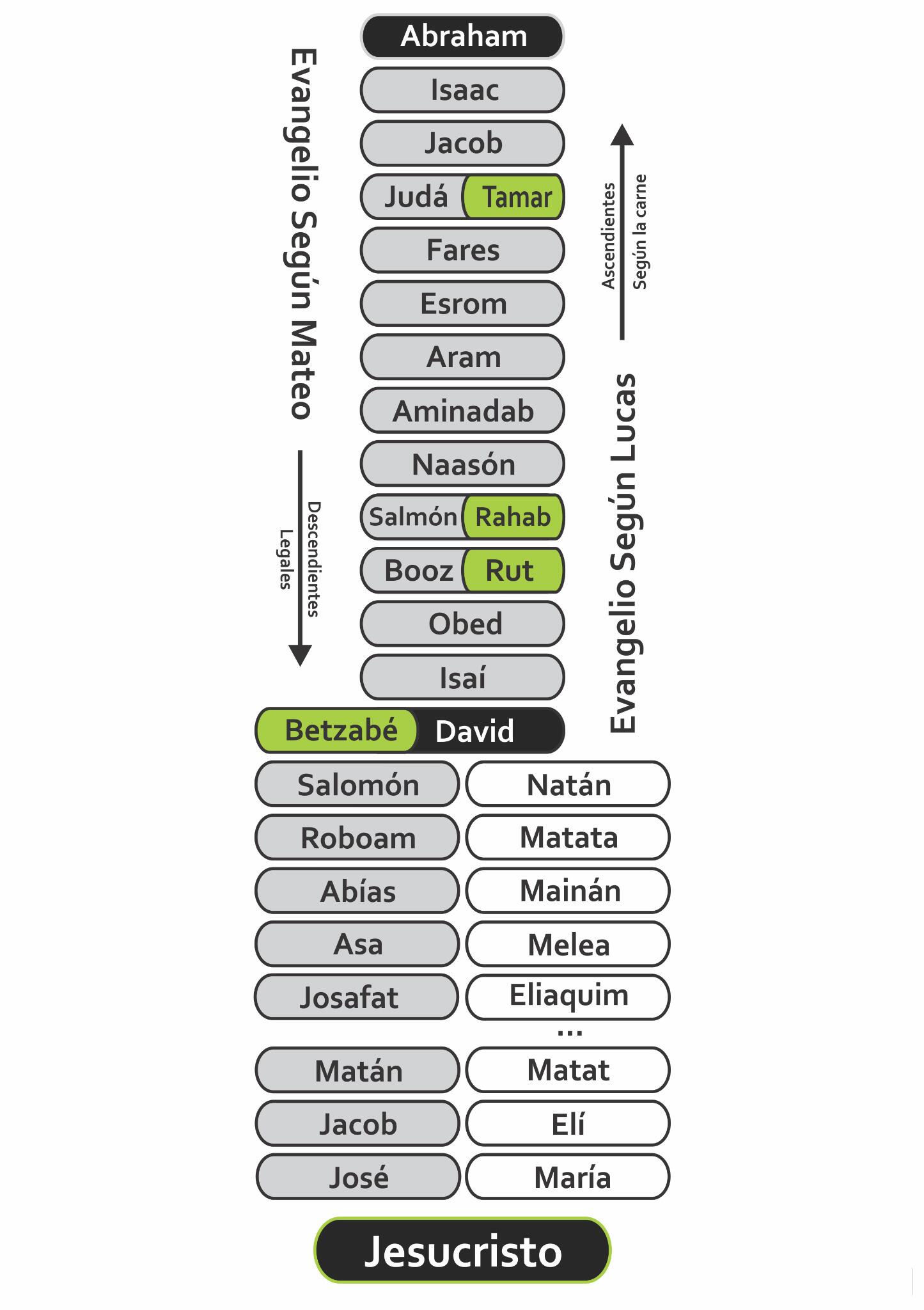 Cuadro Genealógico Del Rey David La Descendencia De Abraham Hasta