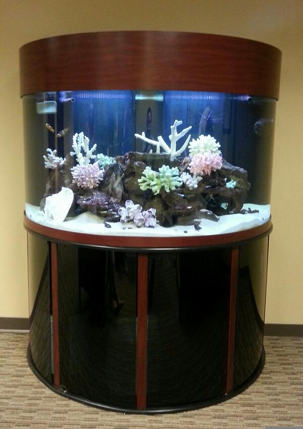 Aquarium Nerds (@AquariumNerds) | Twitter