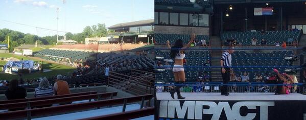 Tna Attendance Stadium
