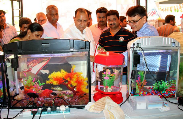 Fish exhibition opened in Ahmedabad | DeshGujarat