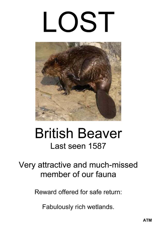 The Beaver Poster