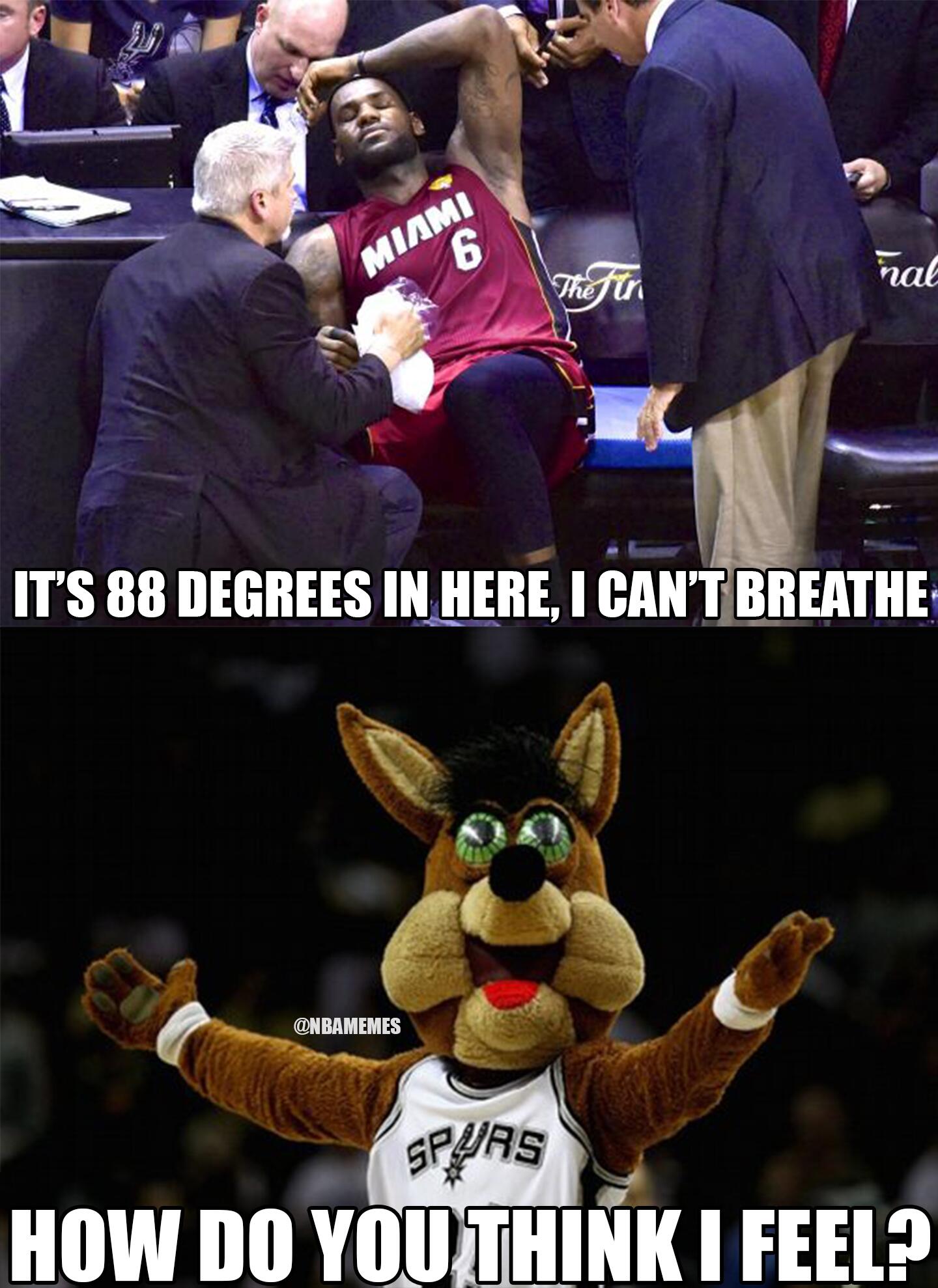 Spurs Heat Meme