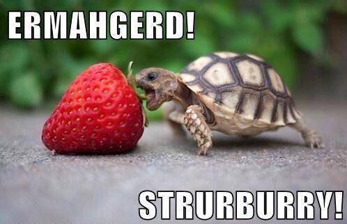 Ermahgerd Mashed Potatoes