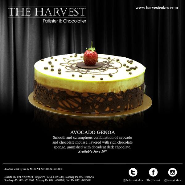 Harvest Cake Jakarta