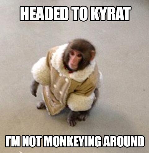 Cute Monkey Meme