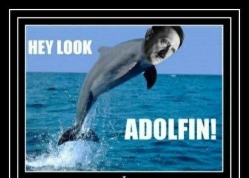 Hey Look Adolfin