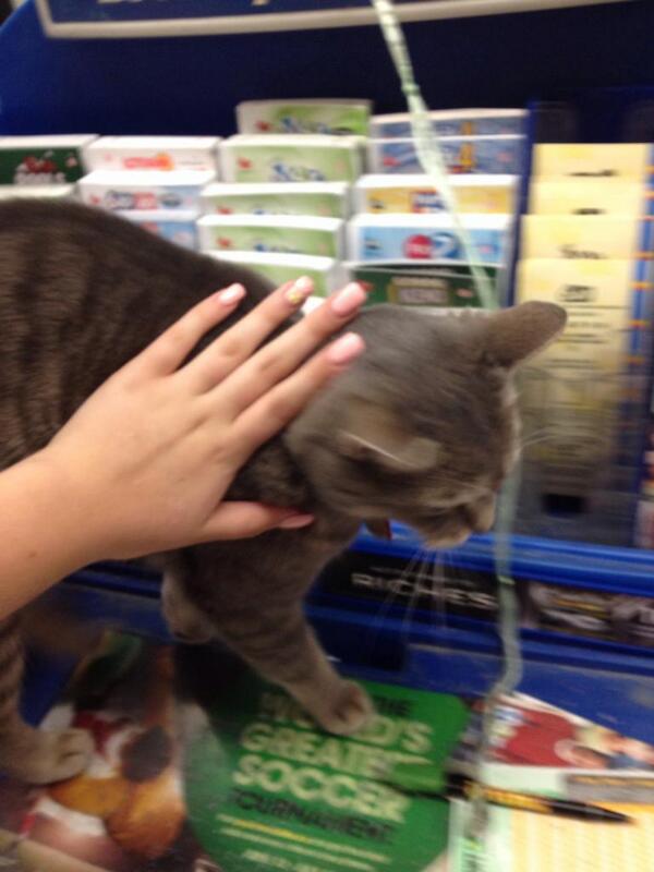 Emily Devlin (@EmDevs) | Twitter