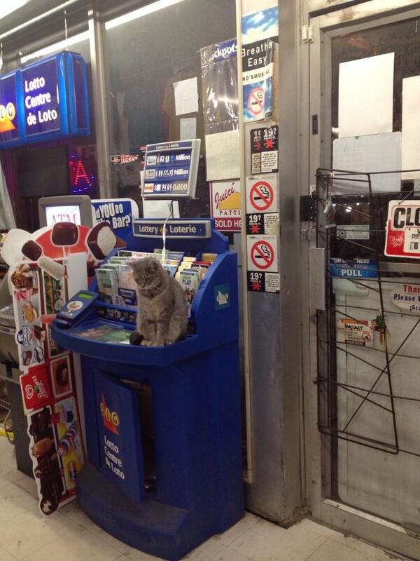 Emily Devlin (@EmDevs) | Twitter