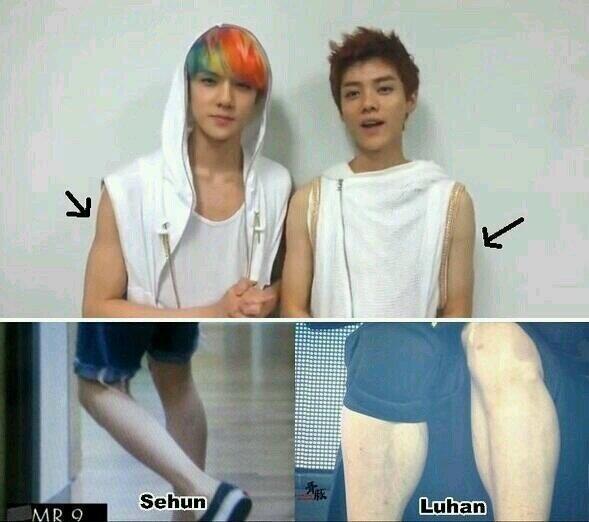 Luhan Arms