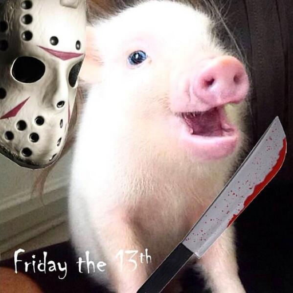 Bacon the piglet says "Happy Friday the 13th" | iJustine | Scoopnest