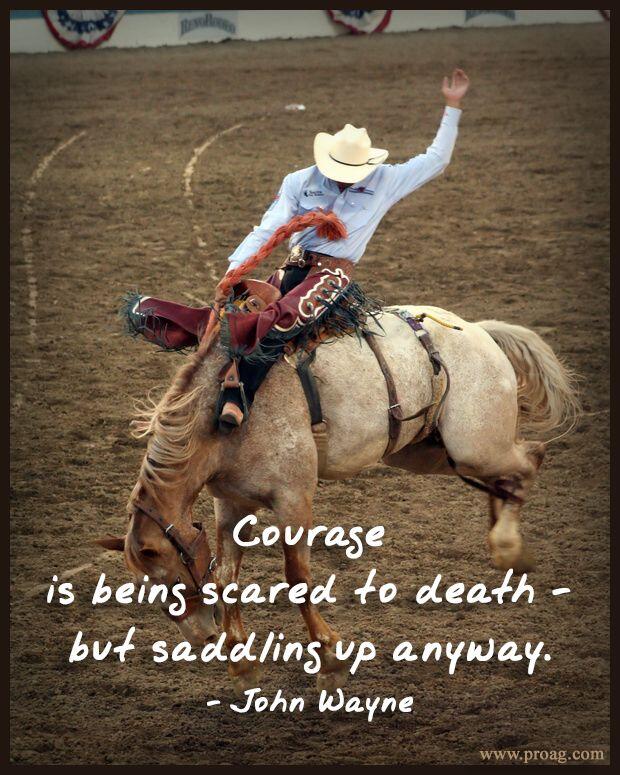 Rodeo Quotes And Sayings