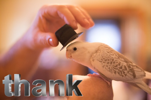 Kyremian Frigate- Noma Minecraft Map