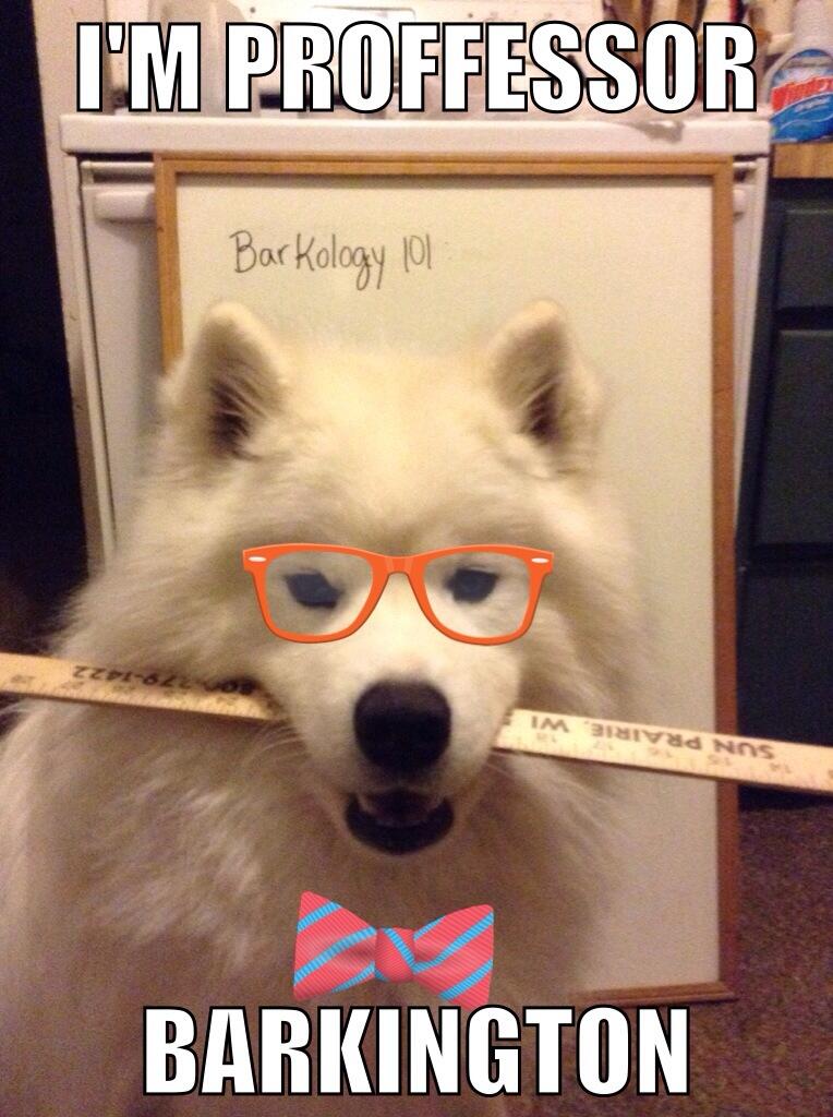 Dog Professor Memes
