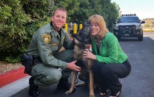 Spent the afternoon w @lvmpd #k9 unit. meet rocco and his faithful ...