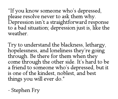 Stephen Fry Quotes Depression