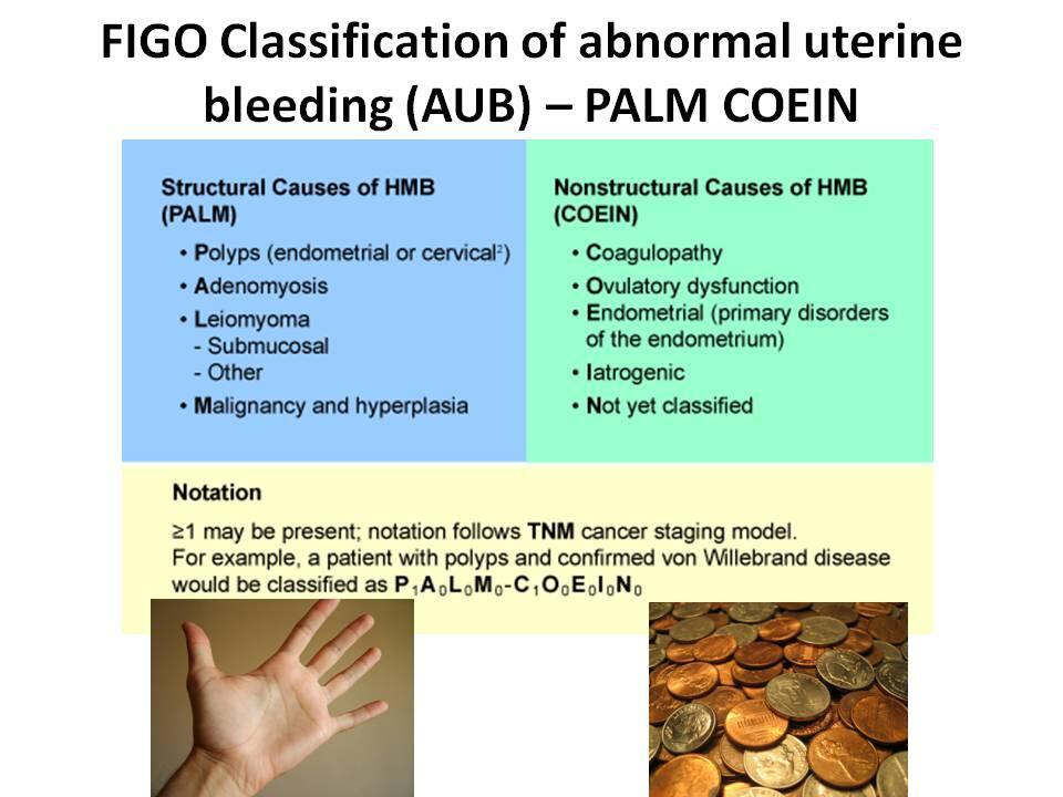 Abnormal Uterine Bleeding Advanced Gynecology And Laparoscopy Of Hot
