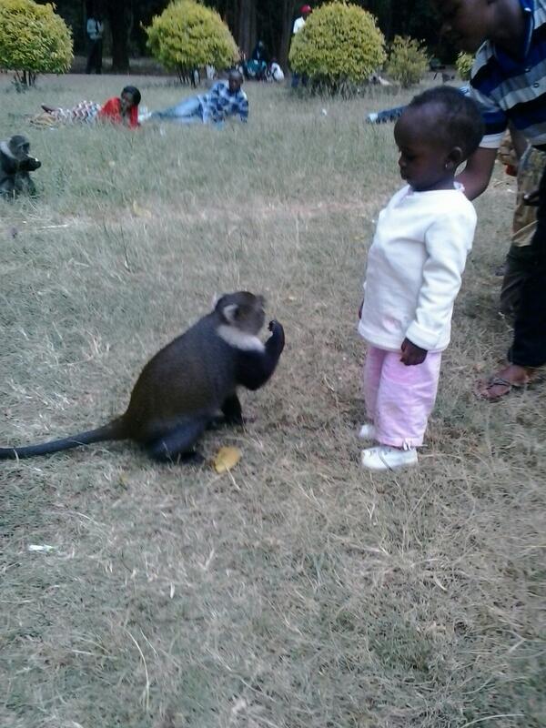 Daniel Muturi (@danielmuturi92) | Twitter