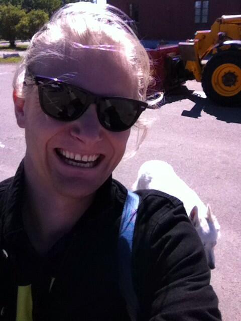 Viktor Almquist (@Spacegondolen) | Twitter