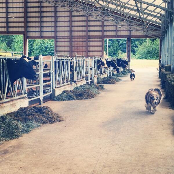 Natalie Cuthbert (@natcuthbert_) | Twitter