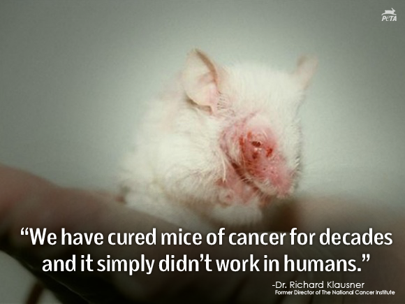 Animal Testing Quotes By Scientists