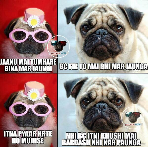 Bc Kutta Memes