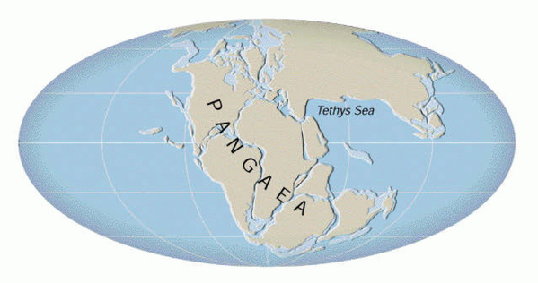 Panthalassa And Pangea