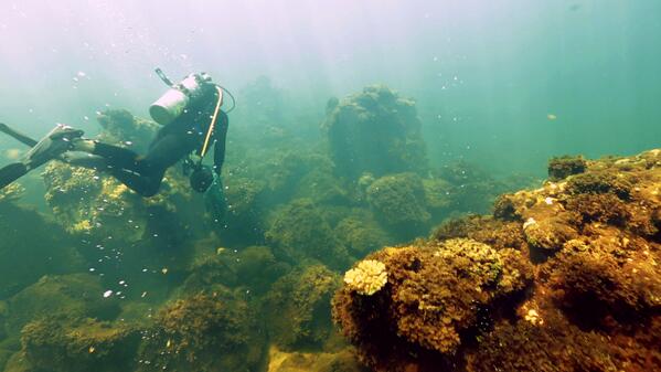 Welcome to the Island of Maug, where NOAA scientists are studying ...