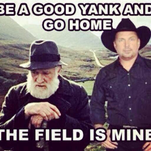Bull Mccabe Memes The Field | Connemara Irish