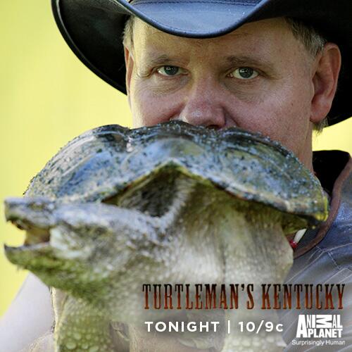 Animal Planet Surprisingly Human