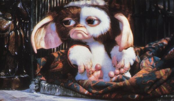 Gizmo Sad Face