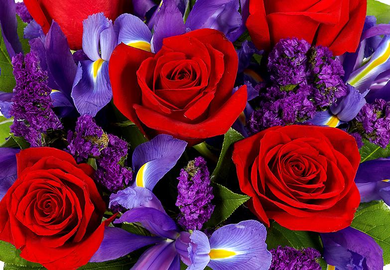 Blue And Red Roses Bouquet Of Violets