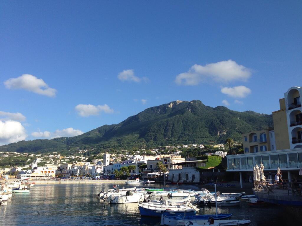 laura mosca (lauramosca3) on Twitter