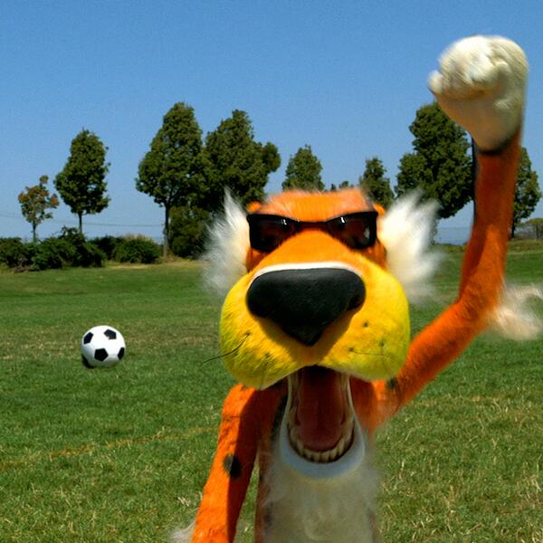 Cheetos Cheetah Balls