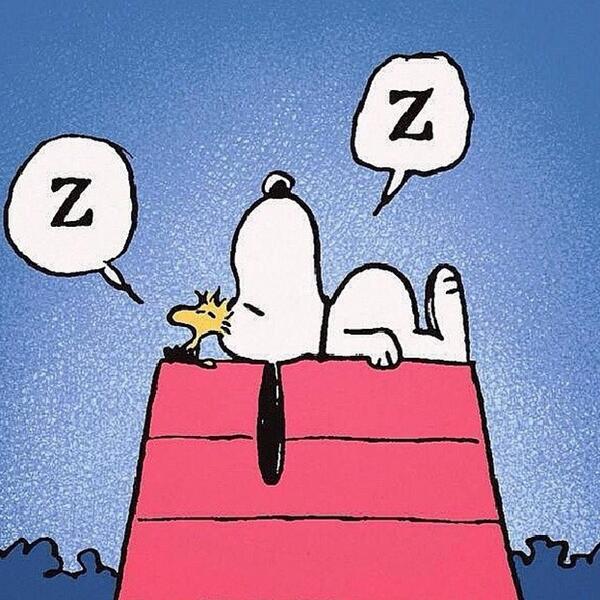 Snoopy Sleeping Cartoon