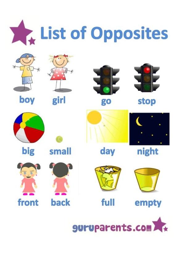 Front And Back Worksheets