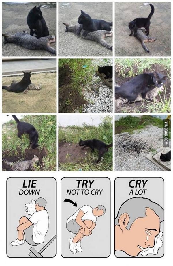 Lay Down Try Not To Cry Cry A Lot