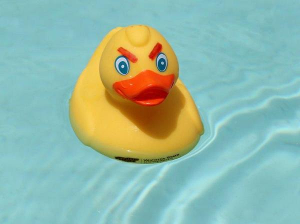 Angry Rubber Duck