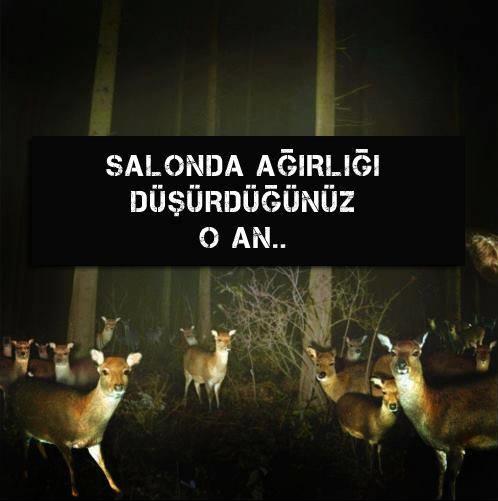 Kaan Yurtsever (@Kaan_Yurtsever) | Twitter