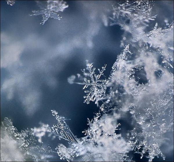 Real Snowflakes Outside