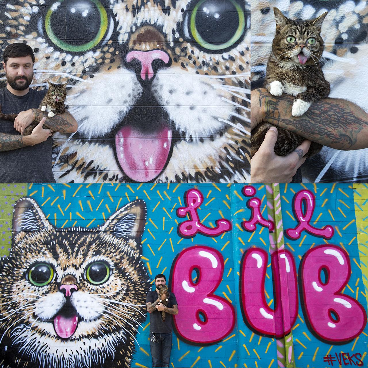 Lil Bub Art