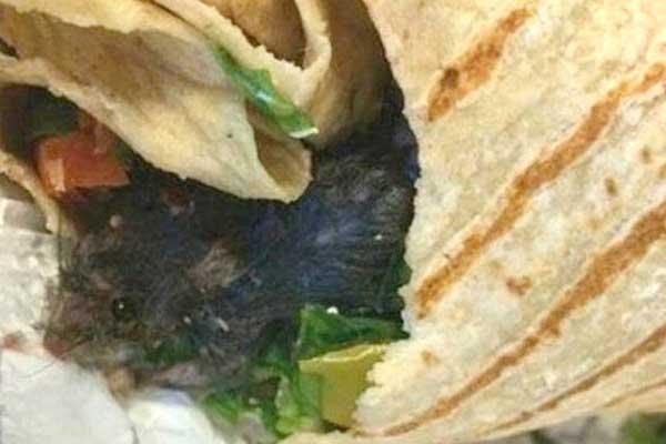 Sherlock Holmes Saludo Molesto tacos de rata Personas mayores ...