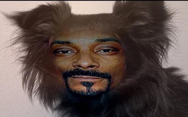 Snoop Dogg Dog Face