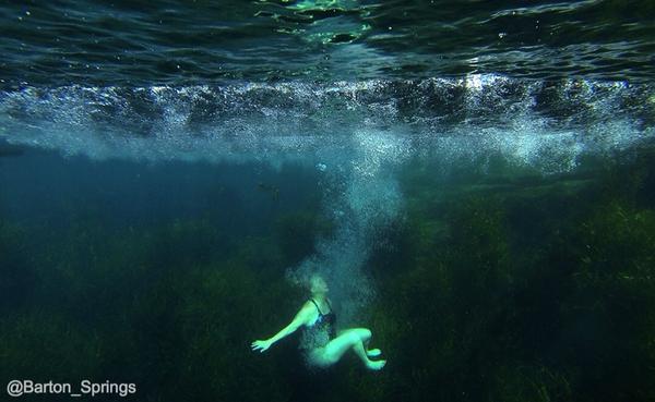 Barton Springs Pool Underwater
