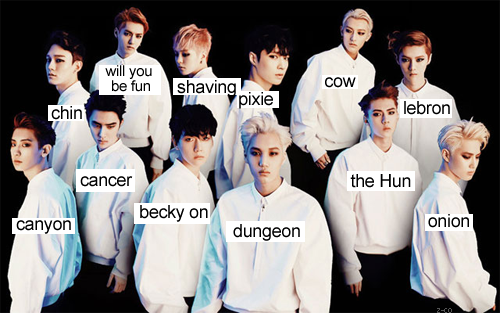 Exo Members Names
