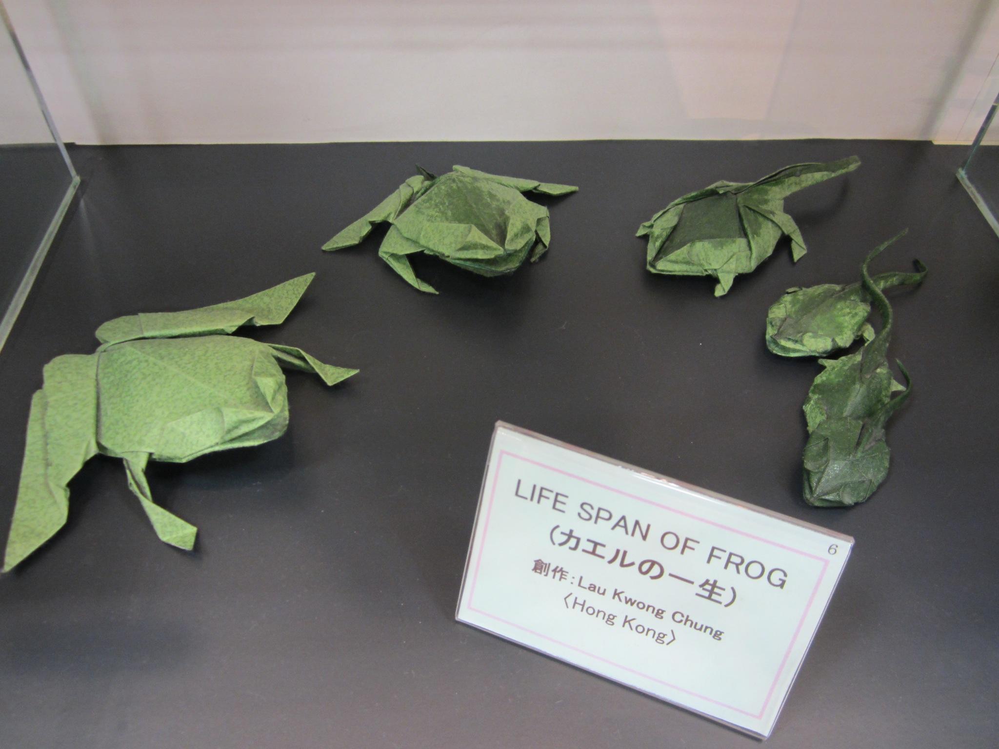 Xenopus Drawing African Clawed Frog, Xenopus Laevis Canvas Print