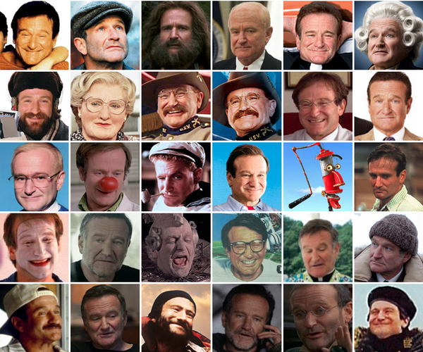 Robin Williams Face