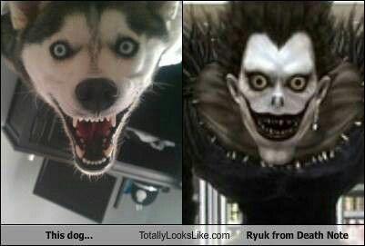 Death Note Ryuk Memes If U Want To See Bald Ryuk. Please. #viral