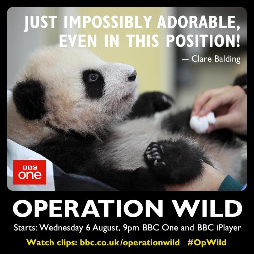 Operation Wild BBC 1 | Neil's TV review