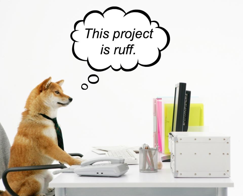 Where Did Working Like A Dog Come From